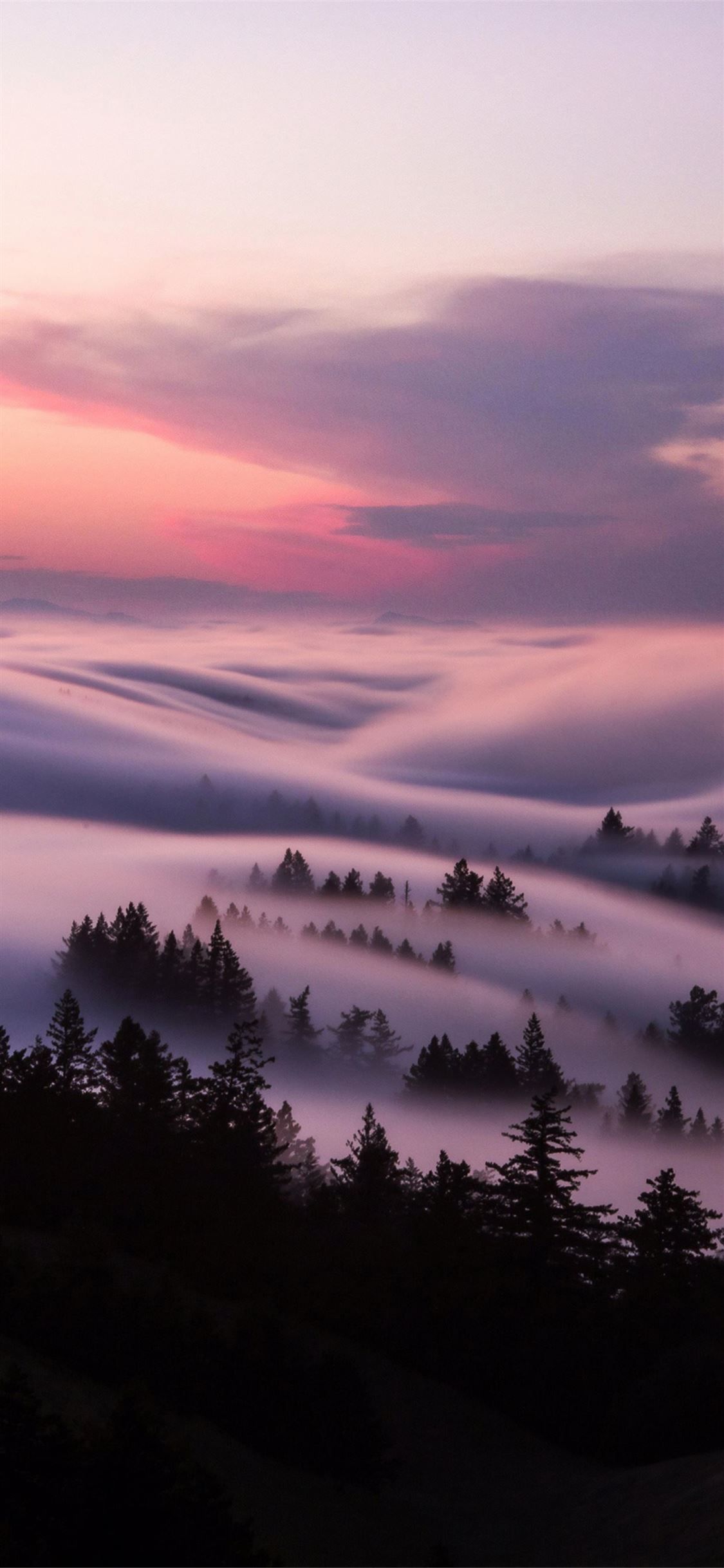 Clouds Fog Wallpapers - Wallpaper Cave
