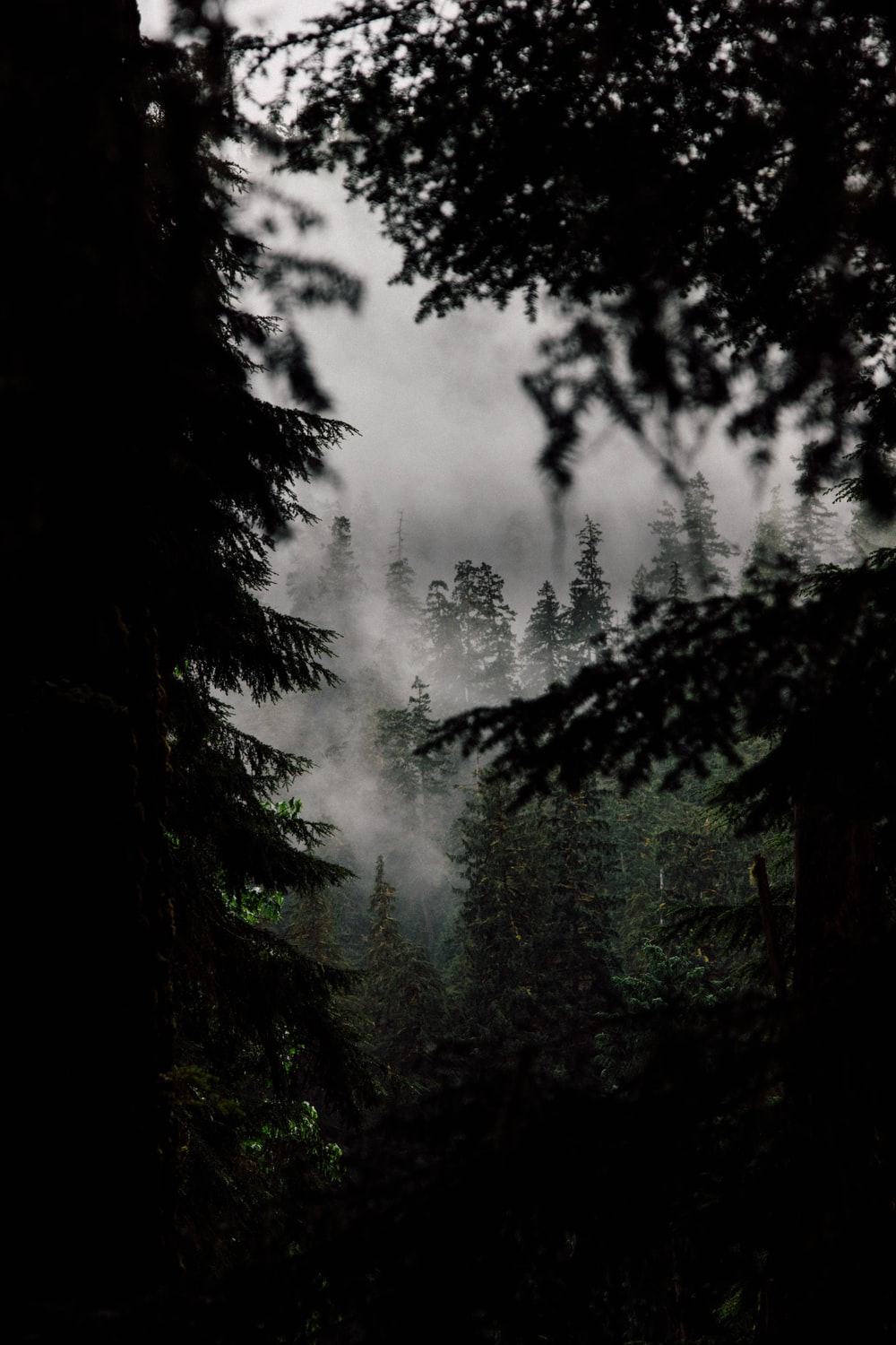 Clouds Fog Wallpapers - Wallpaper Cave