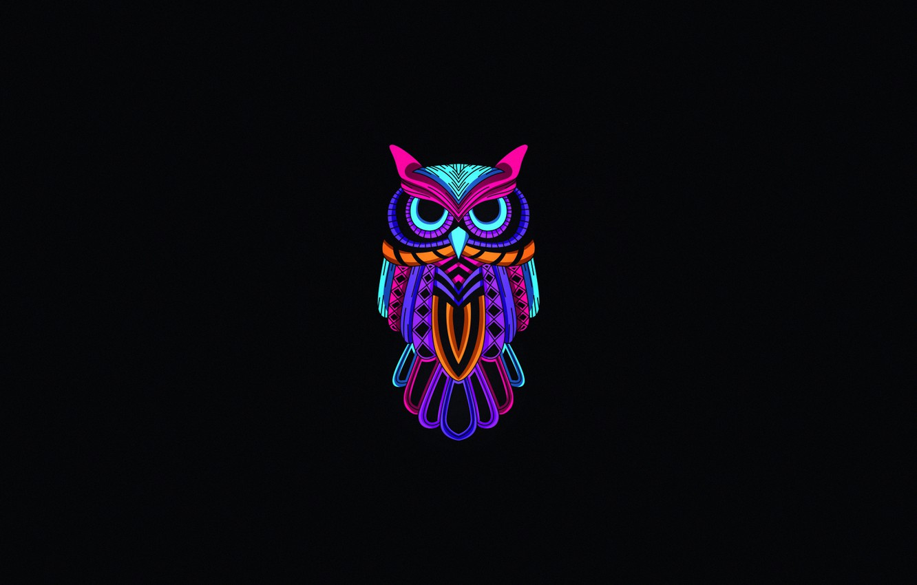Neon Bird Wallpapers - Wallpaper Cave