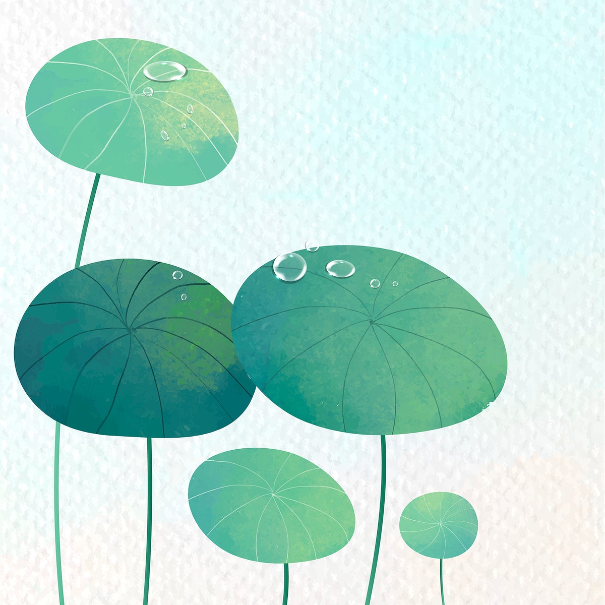 Centella Wallpapers - Wallpaper Cave