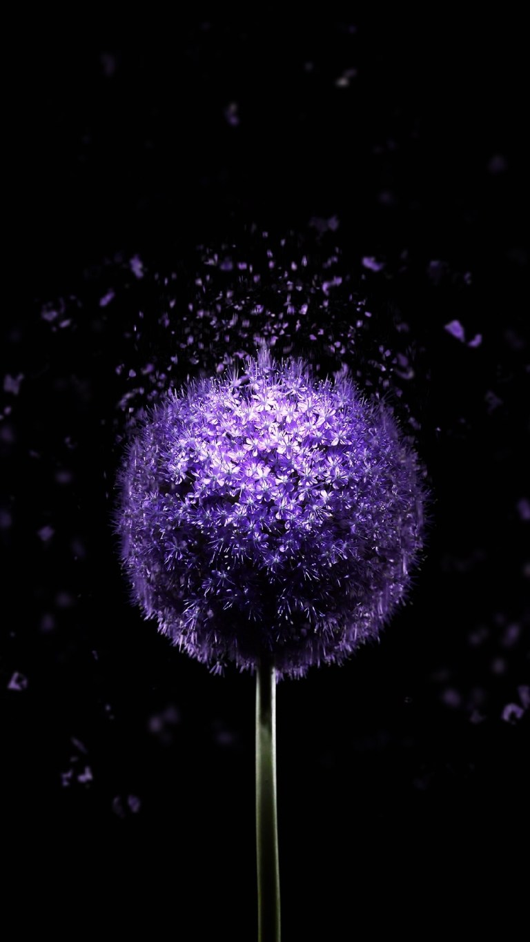 HD Android Violet Wallpapers - Wallpaper Cave