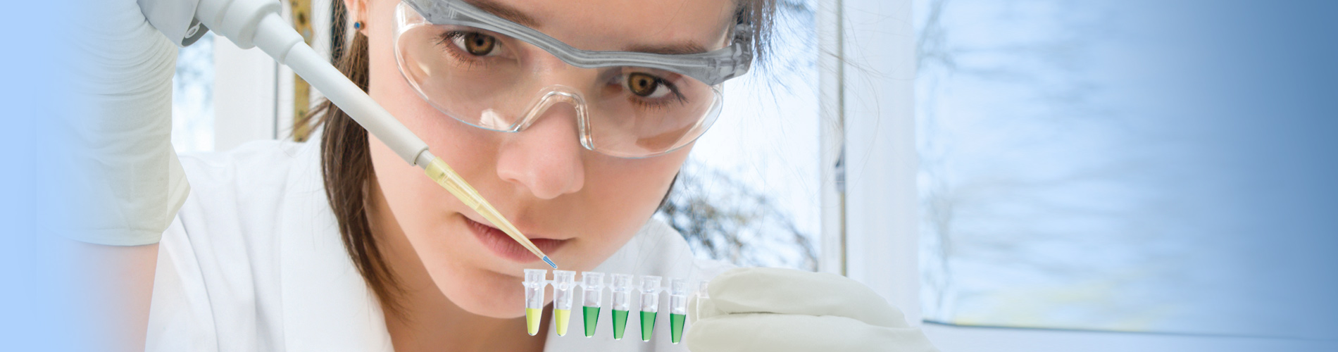 PCR Wallpapers - Wallpaper Cave