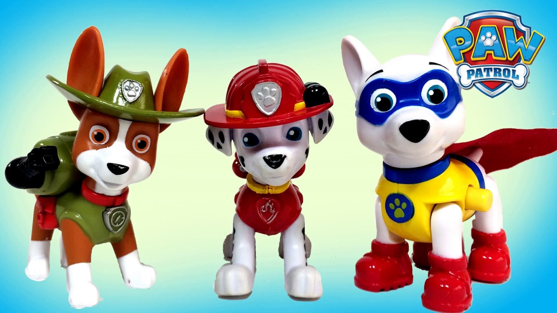 Apollo Paw Patrol Wallpapers - Wallpaper Cave