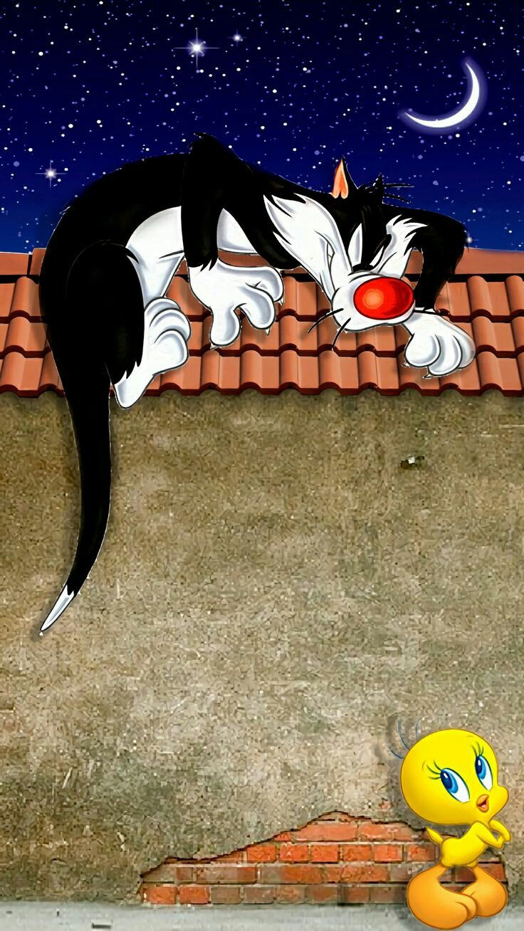 Frajola Wallpapers - Wallpaper Cave