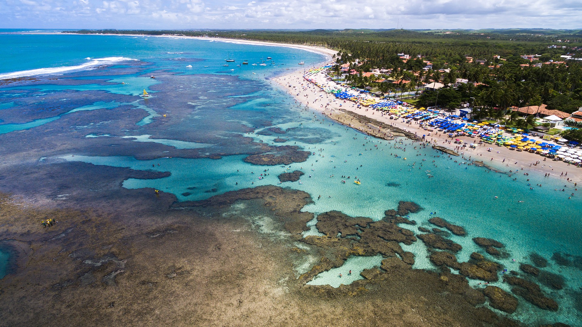 Pernambuco Wallpapers - Wallpaper Cave