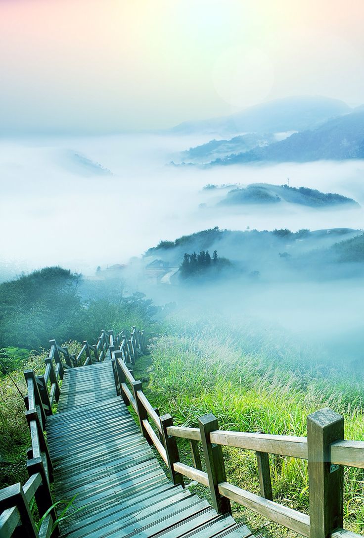 Summer Fog iPhone Wallpapers - Wallpaper Cave