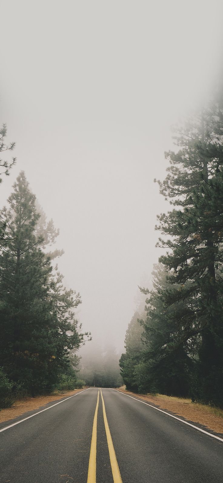 Summer Fog iPhone Wallpapers - Wallpaper Cave