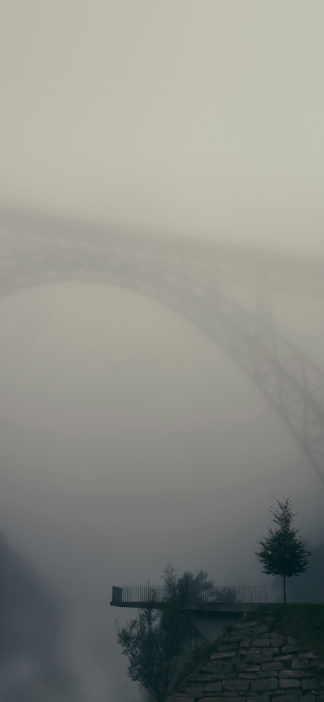 Summer Fog iPhone Wallpapers - Wallpaper Cave