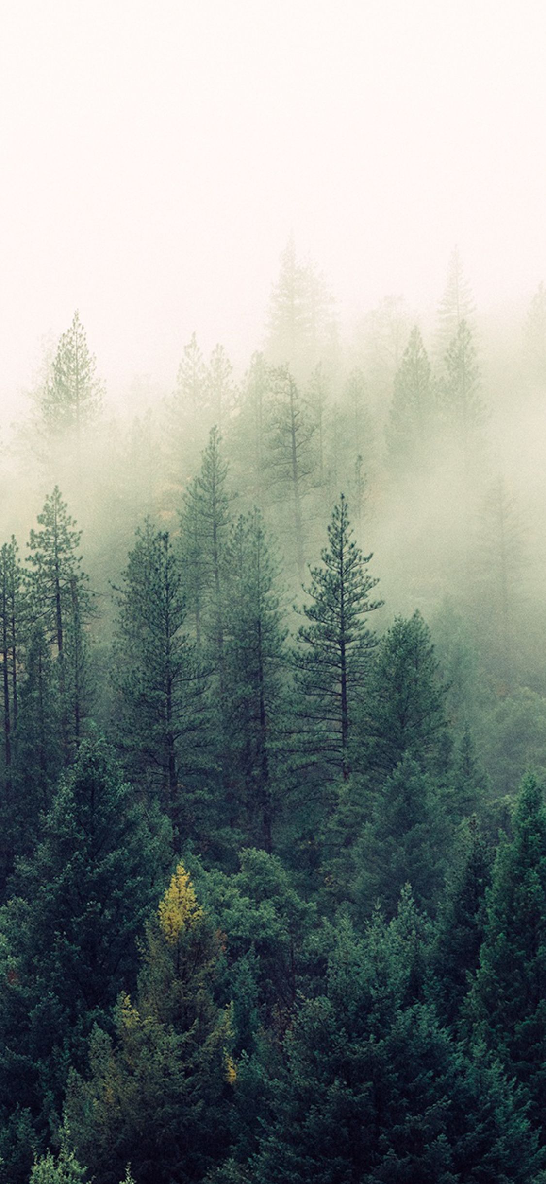 Outdoor iPhone Wallpapers - Wallpaper Cave