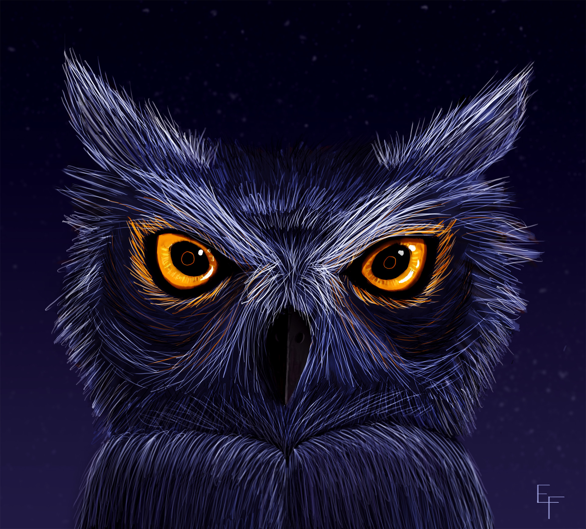 Neon Owl Wallpapers - Wallpaper Cave
