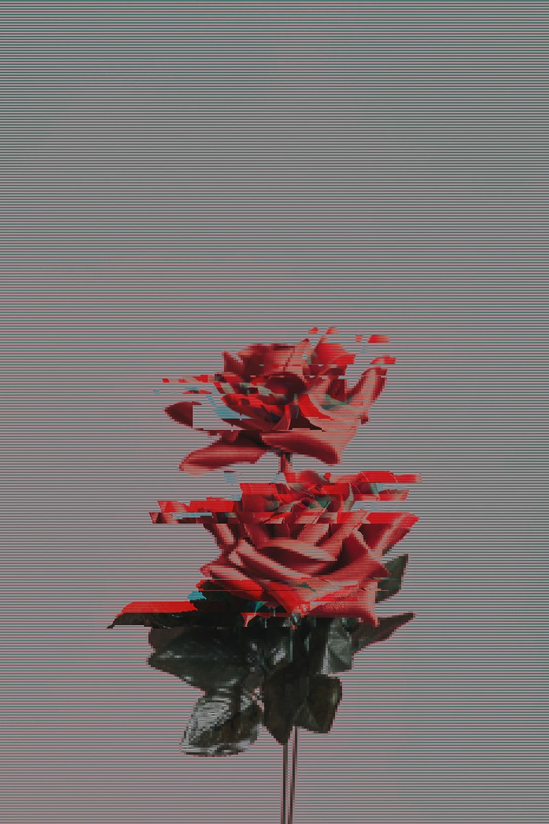 Sad Flowers Aesthetic Wallpapers - Wallpaper Cave