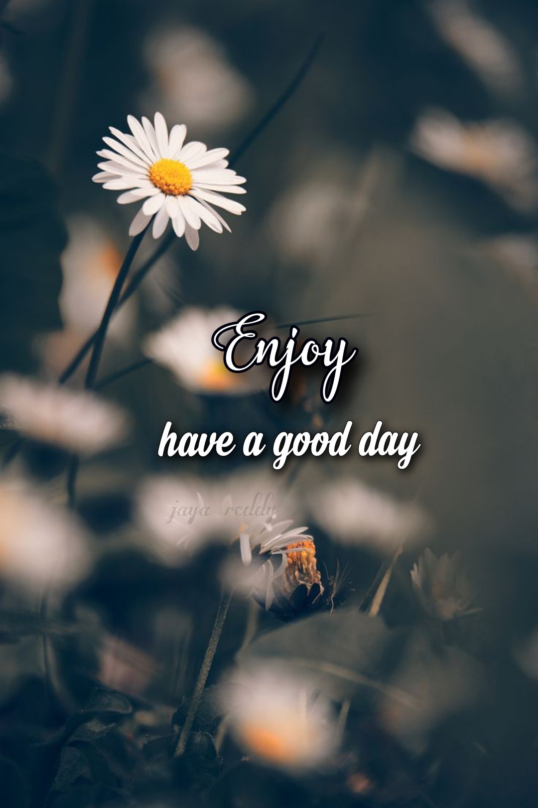 Great Day Wallpapers - Wallpaper Cave