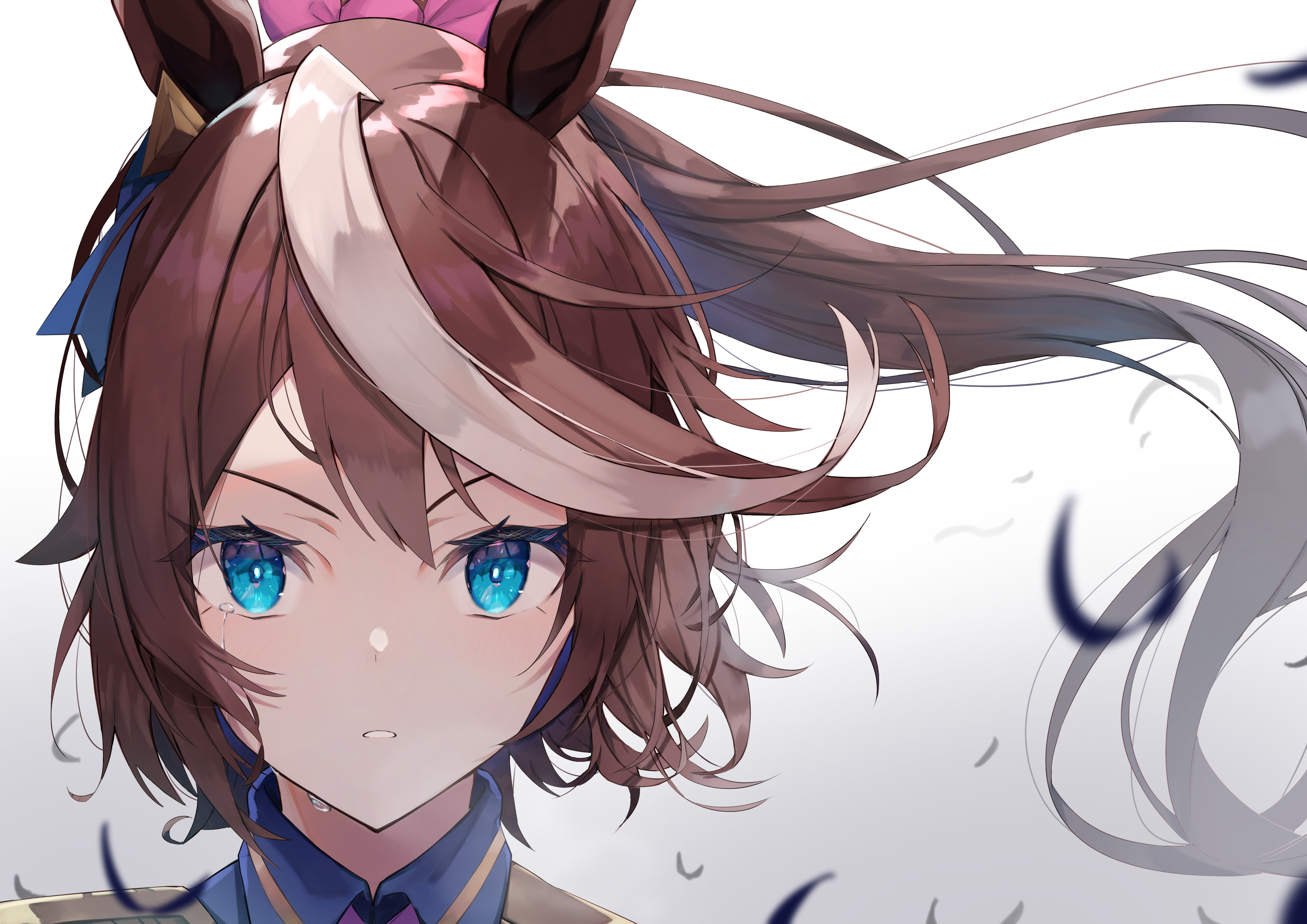 Tokai Teio Wallpapers - Wallpaper Cave