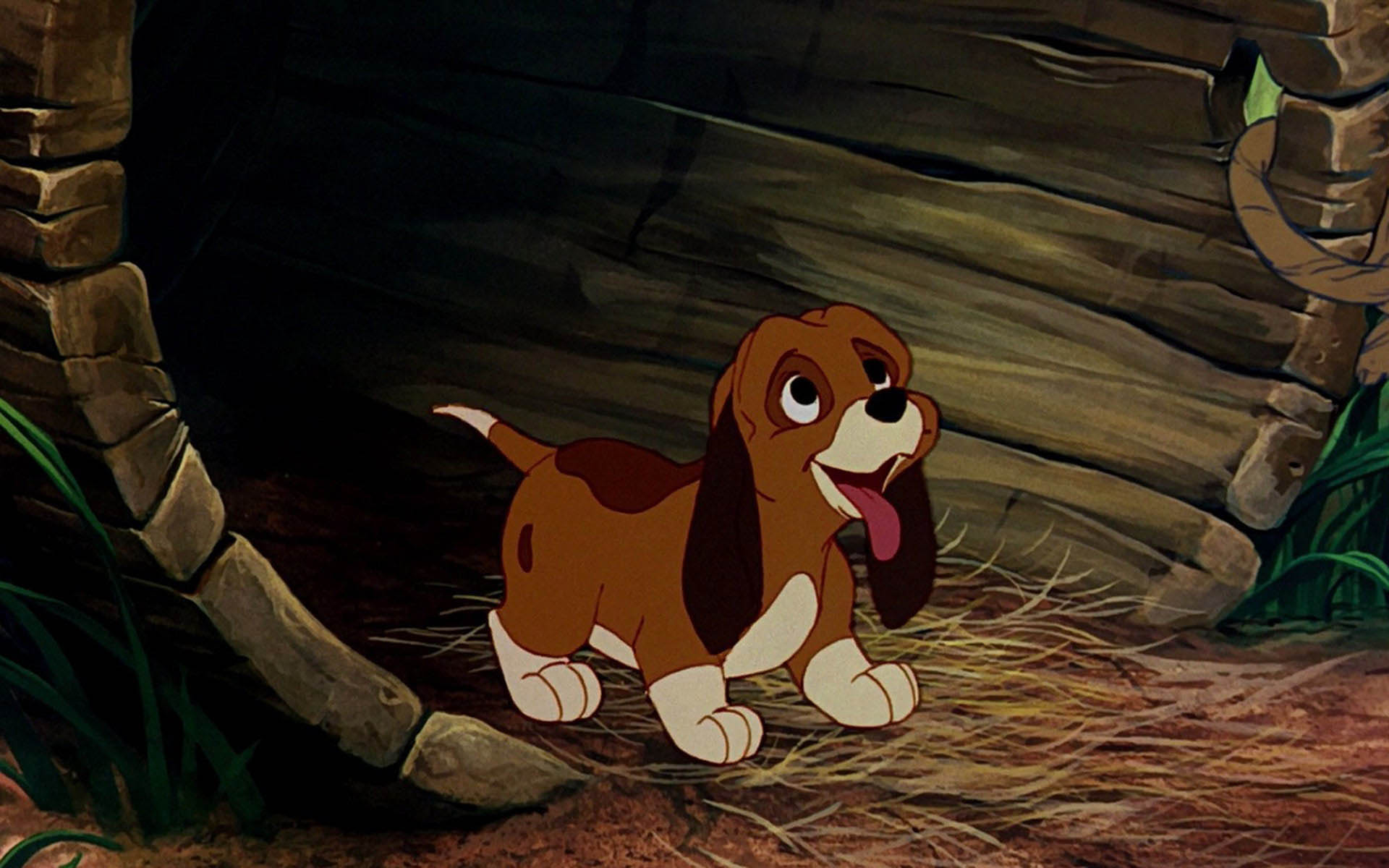 Toby The Fox And The Hound Wallpapers - Wallpaper Cave