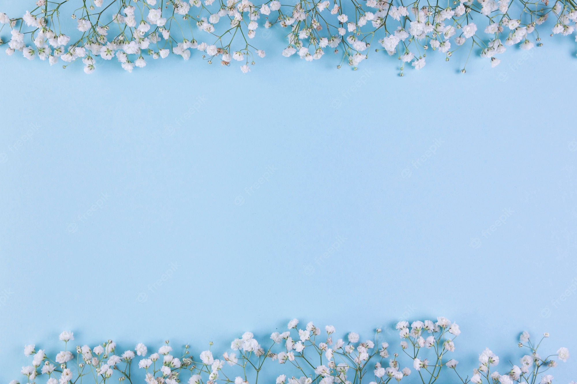 Spring Page Border Wallpapers - Wallpaper Cave