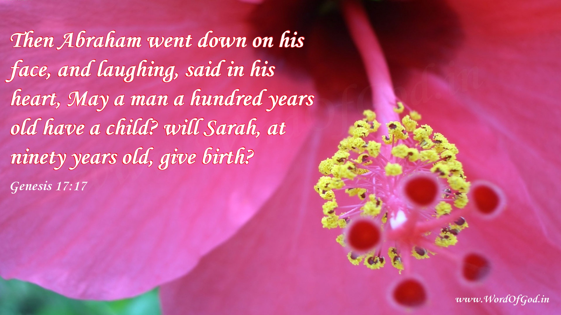 Genesis 17:1 Wallpapers - Wallpaper Cave