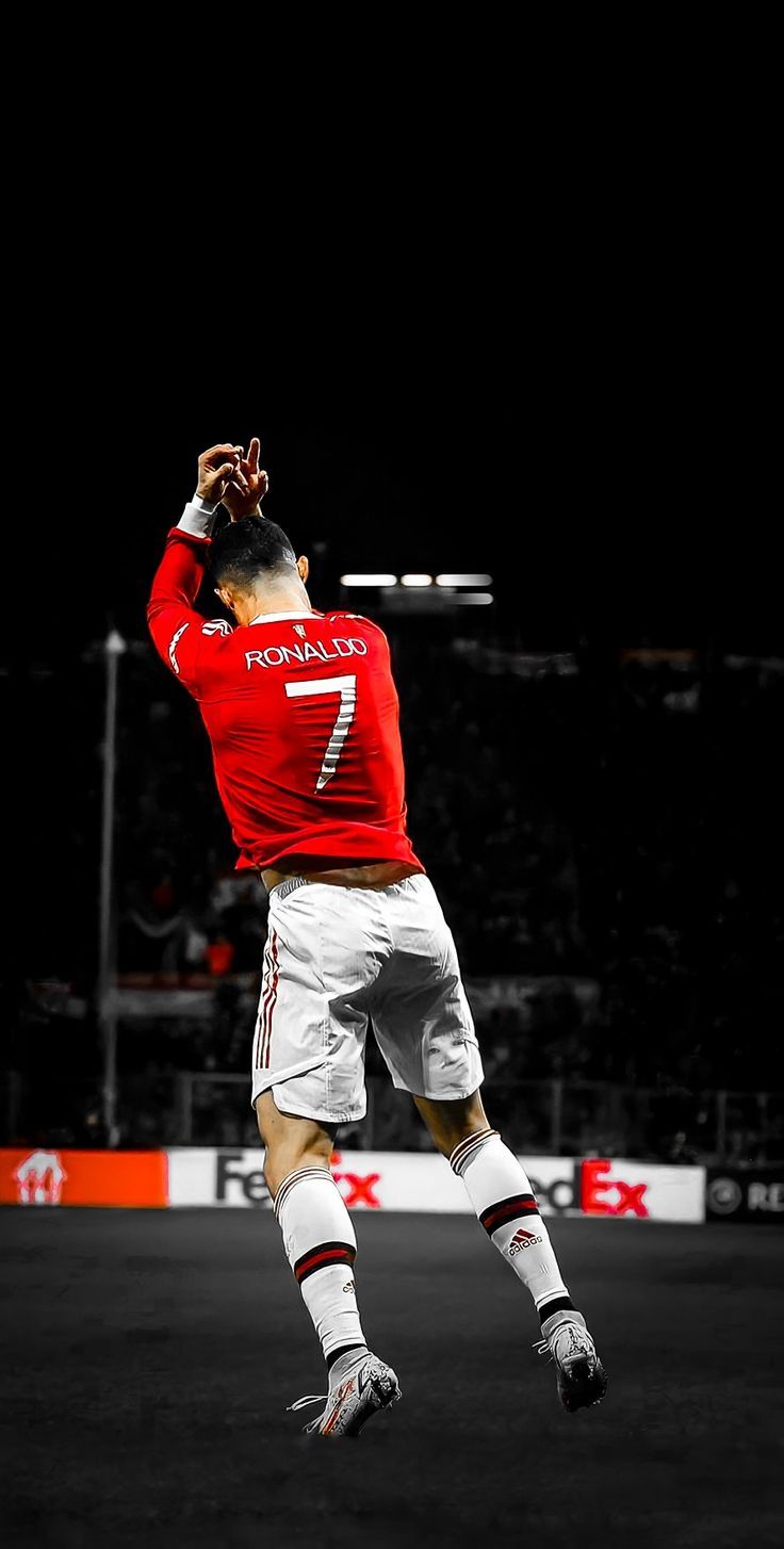 El Bicho Wallpapers - Wallpaper Cave