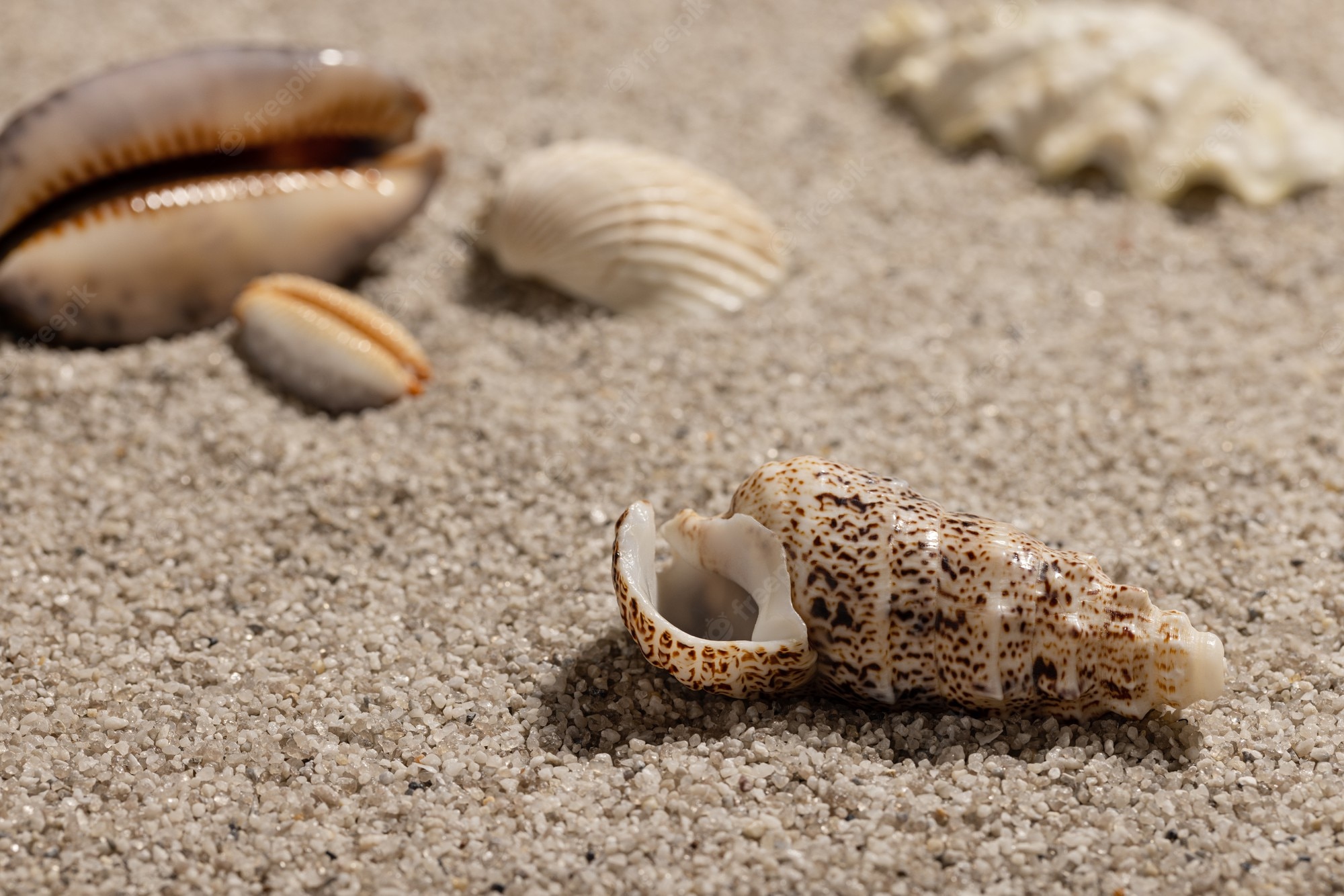 Clean Summer Wallpapers - Wallpaper Cave