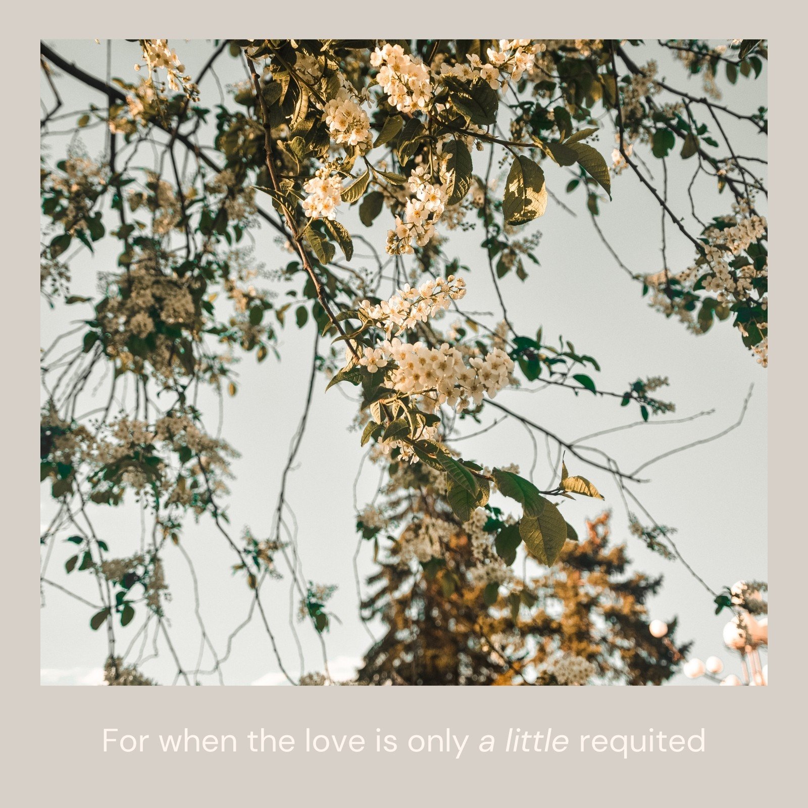 Playlist Cover Wallpapers - Wallpaper Cave