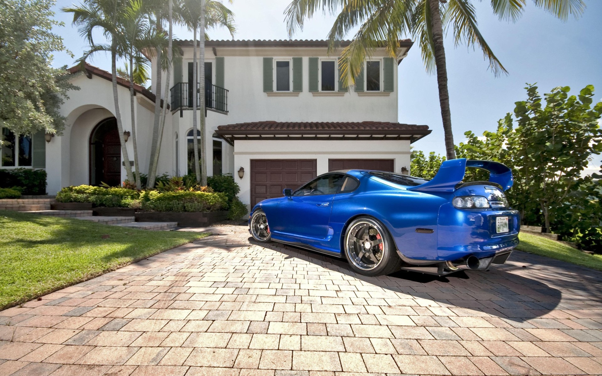 Blue Supra Wallpapers - Wallpaper Cave