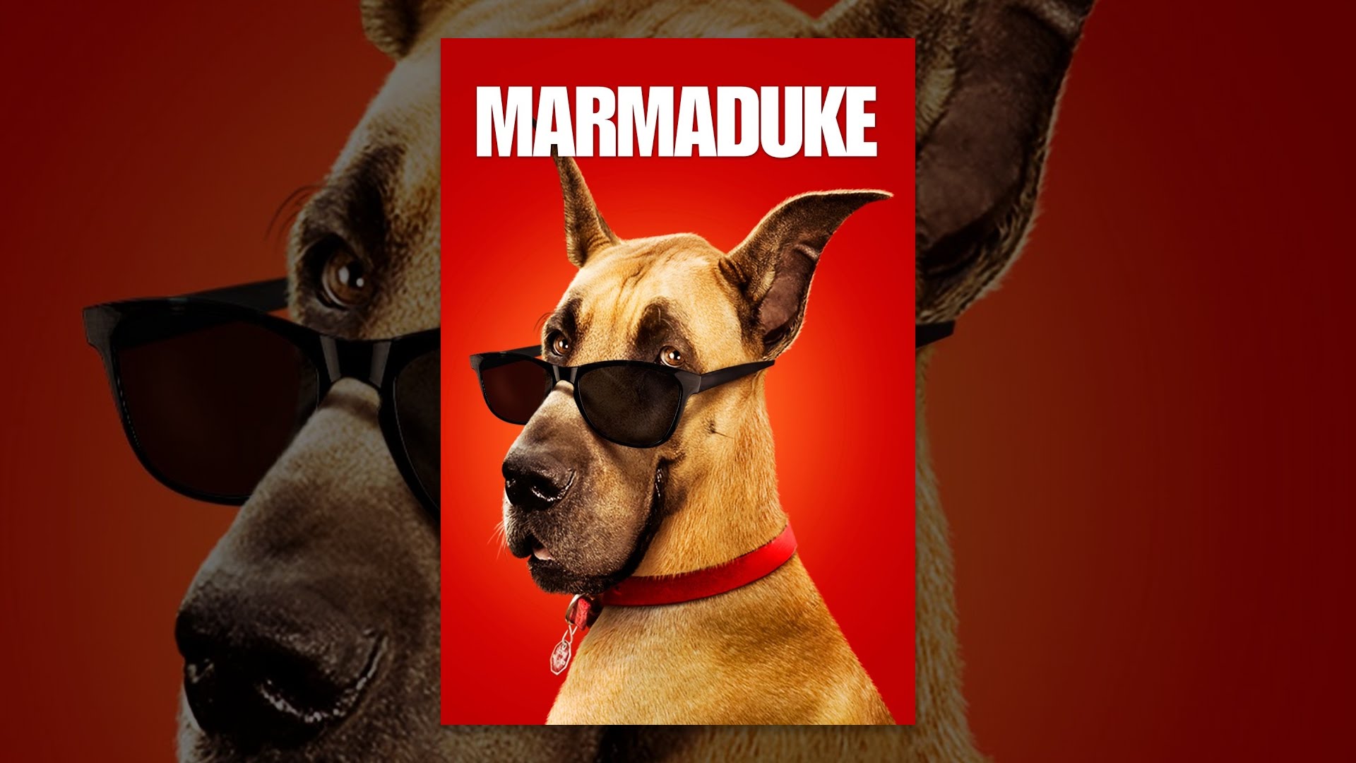 Marmaduke Wallpapers - Wallpaper Cave