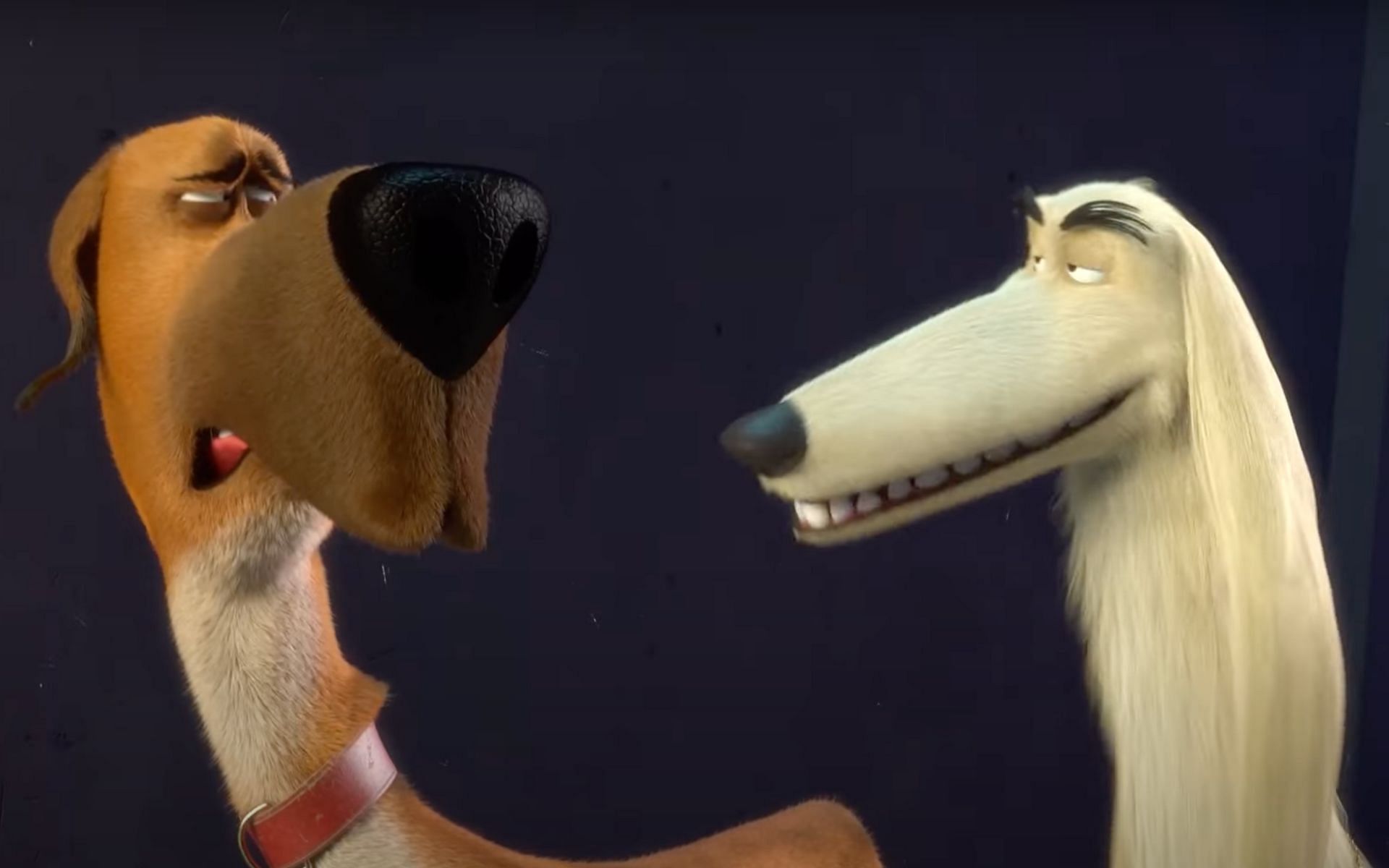 Marmaduke Netflix Wallpapers - Wallpaper Cave