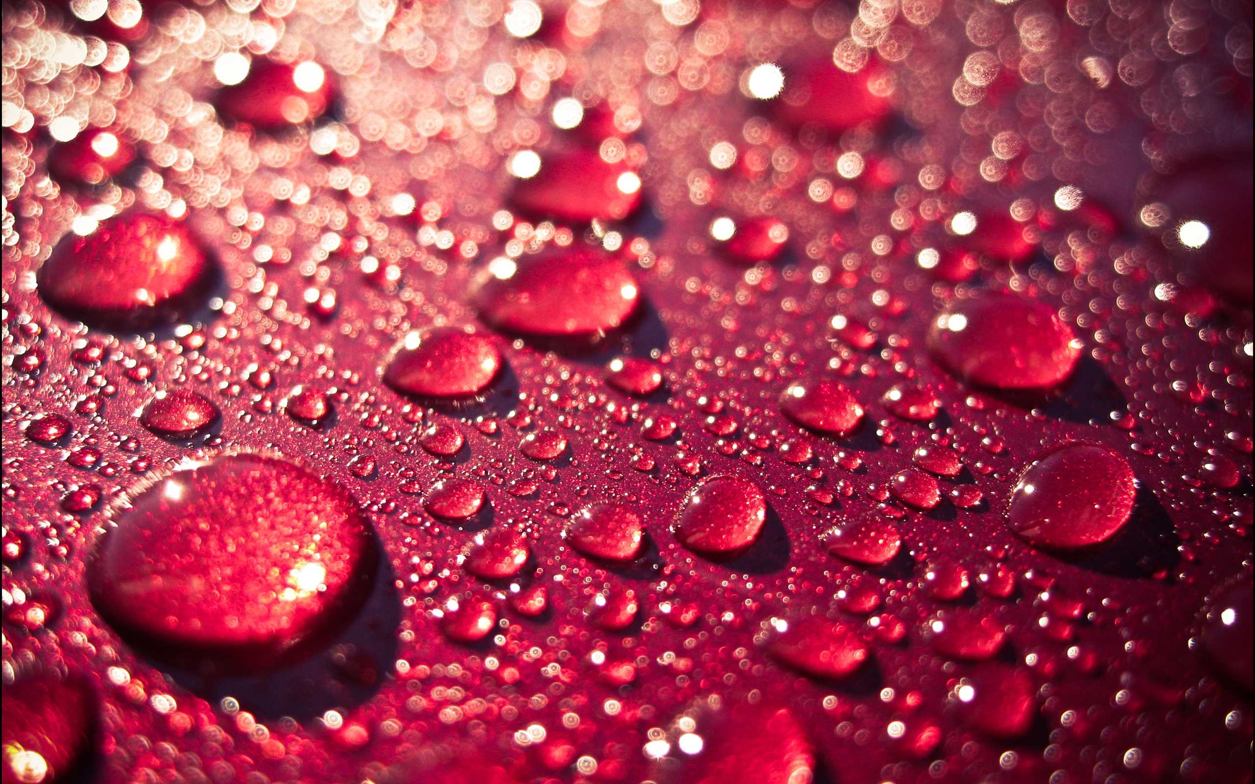 Dewdrops Wallpapers - Wallpaper Cave