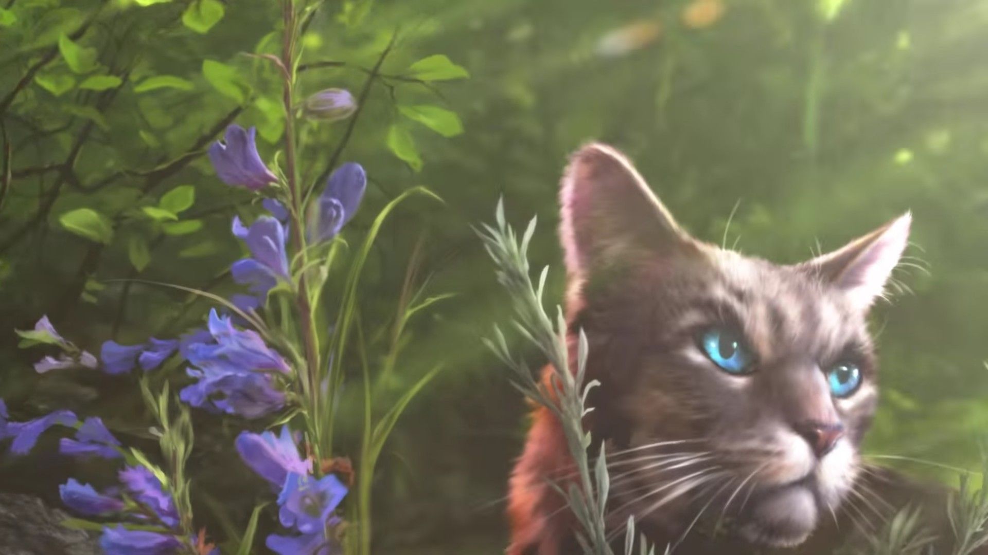 Ashfur Wallpapers - Wallpaper Cave