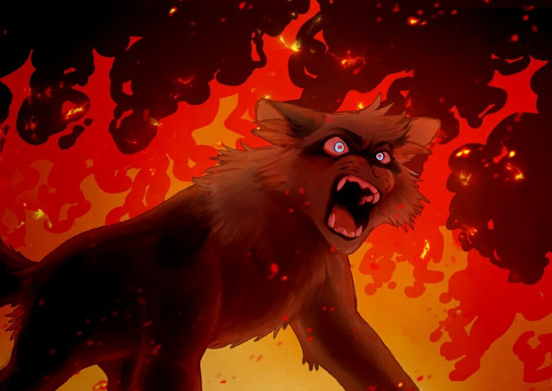 Ashfur Wallpapers - Wallpaper Cave