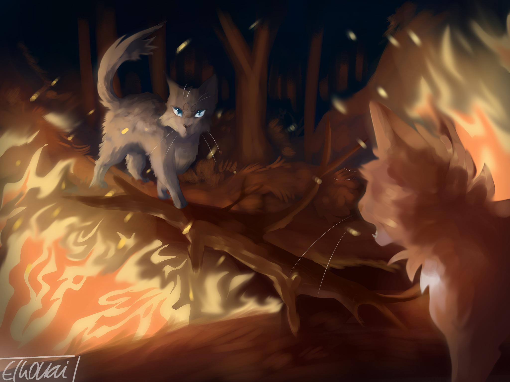 Ashfur Wallpapers - Wallpaper Cave