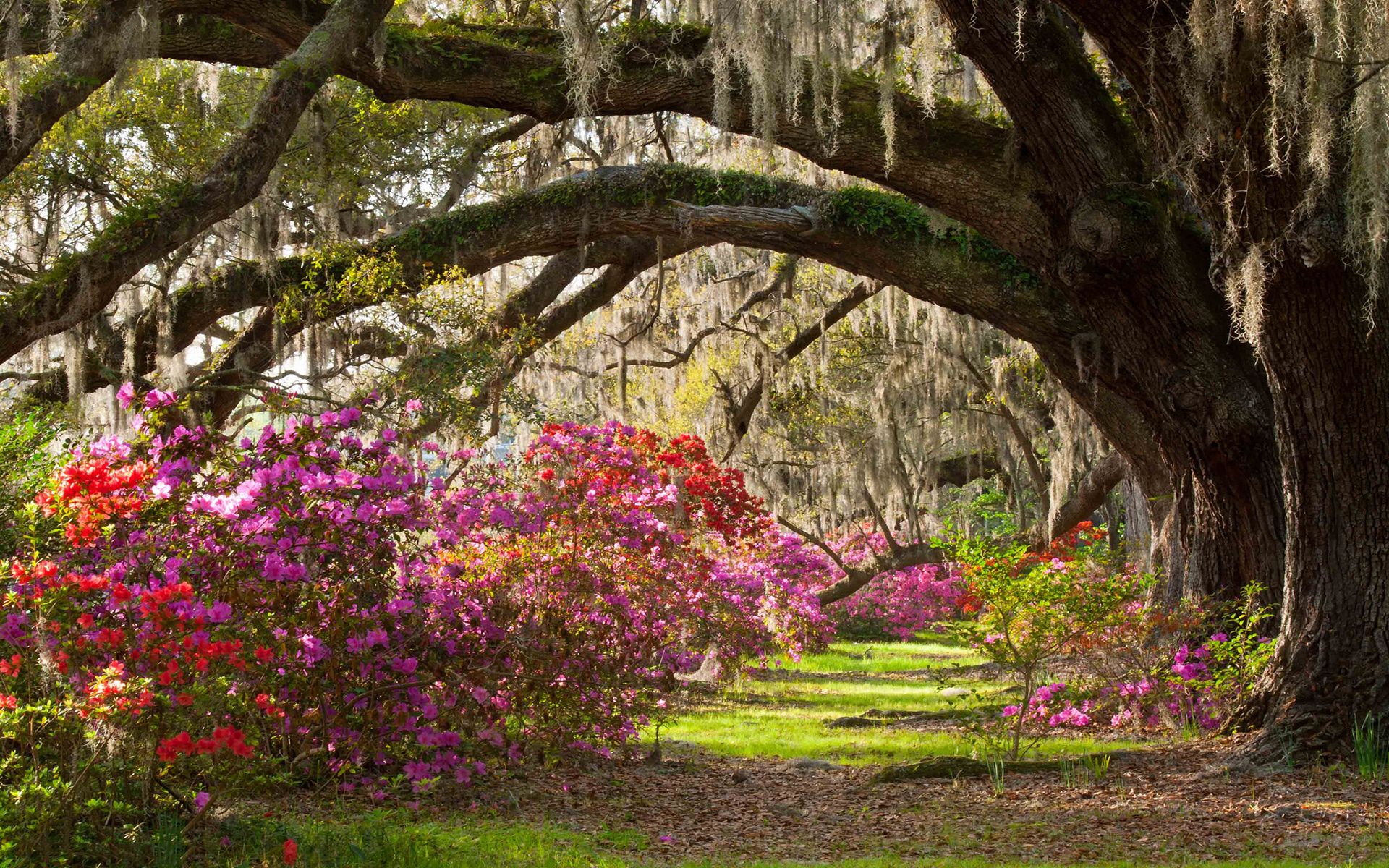 HD Summer Garden Wallpapers - Wallpaper Cave