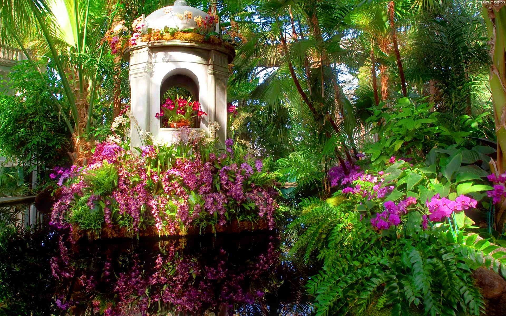 HD Summer Garden Wallpapers - Wallpaper Cave