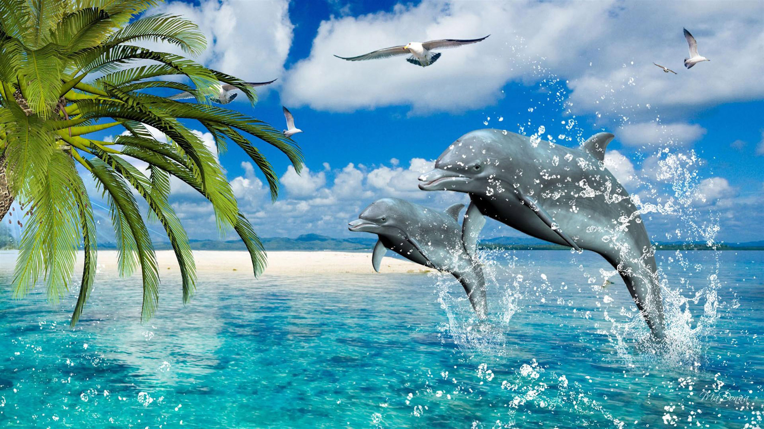 Summer Dolphins Wallpapers - Wallpaper Cave