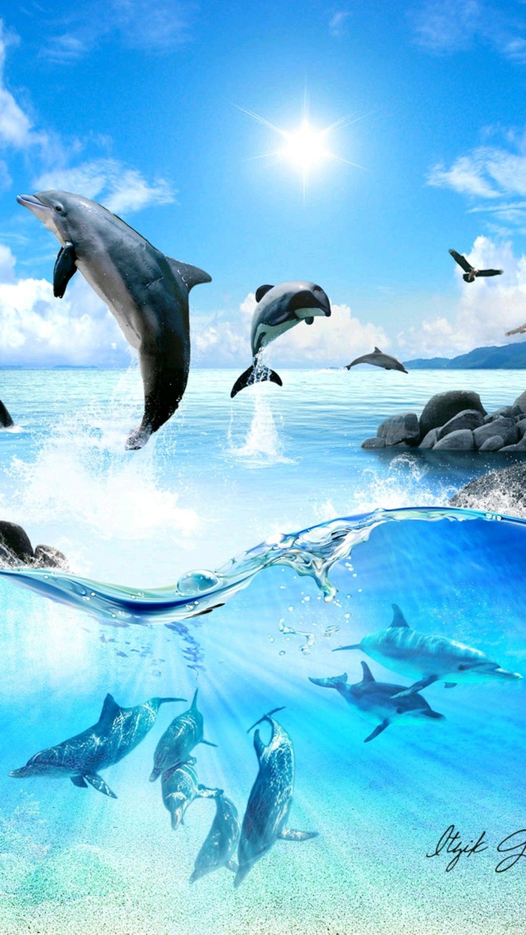 Summer Dolphins Wallpapers - Wallpaper Cave