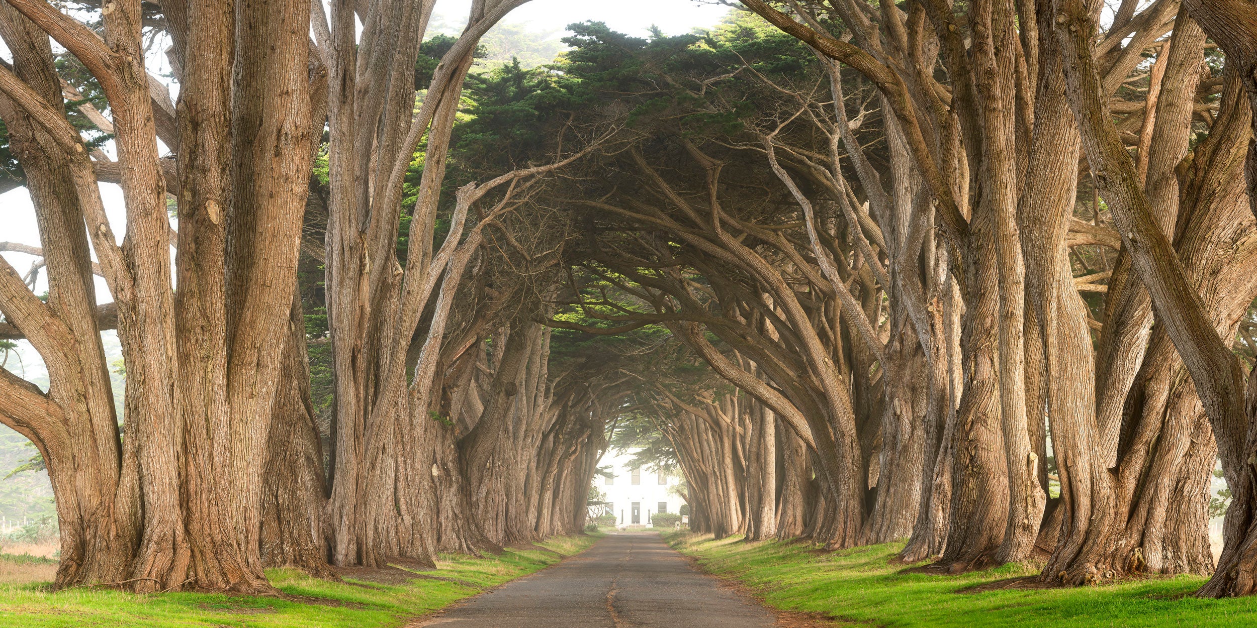 Point Reyes National Seashore California Wallpapers - Wallpaper Cave