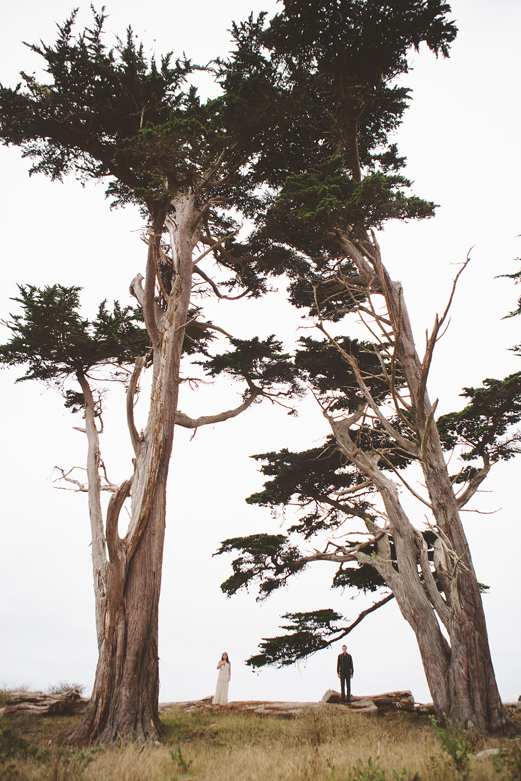 Point Reyes National Seashore California Wallpapers - Wallpaper Cave