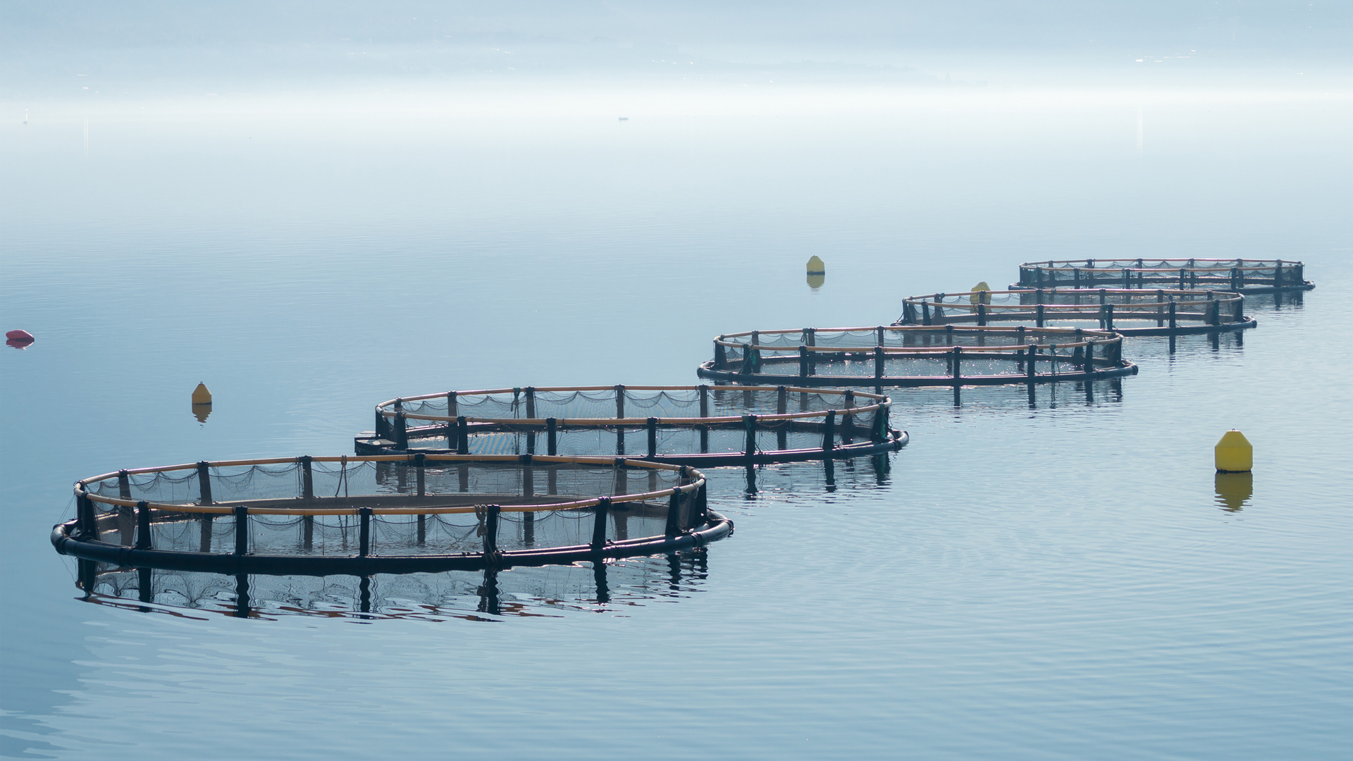 Aquaculture Wallpapers - Wallpaper Cave