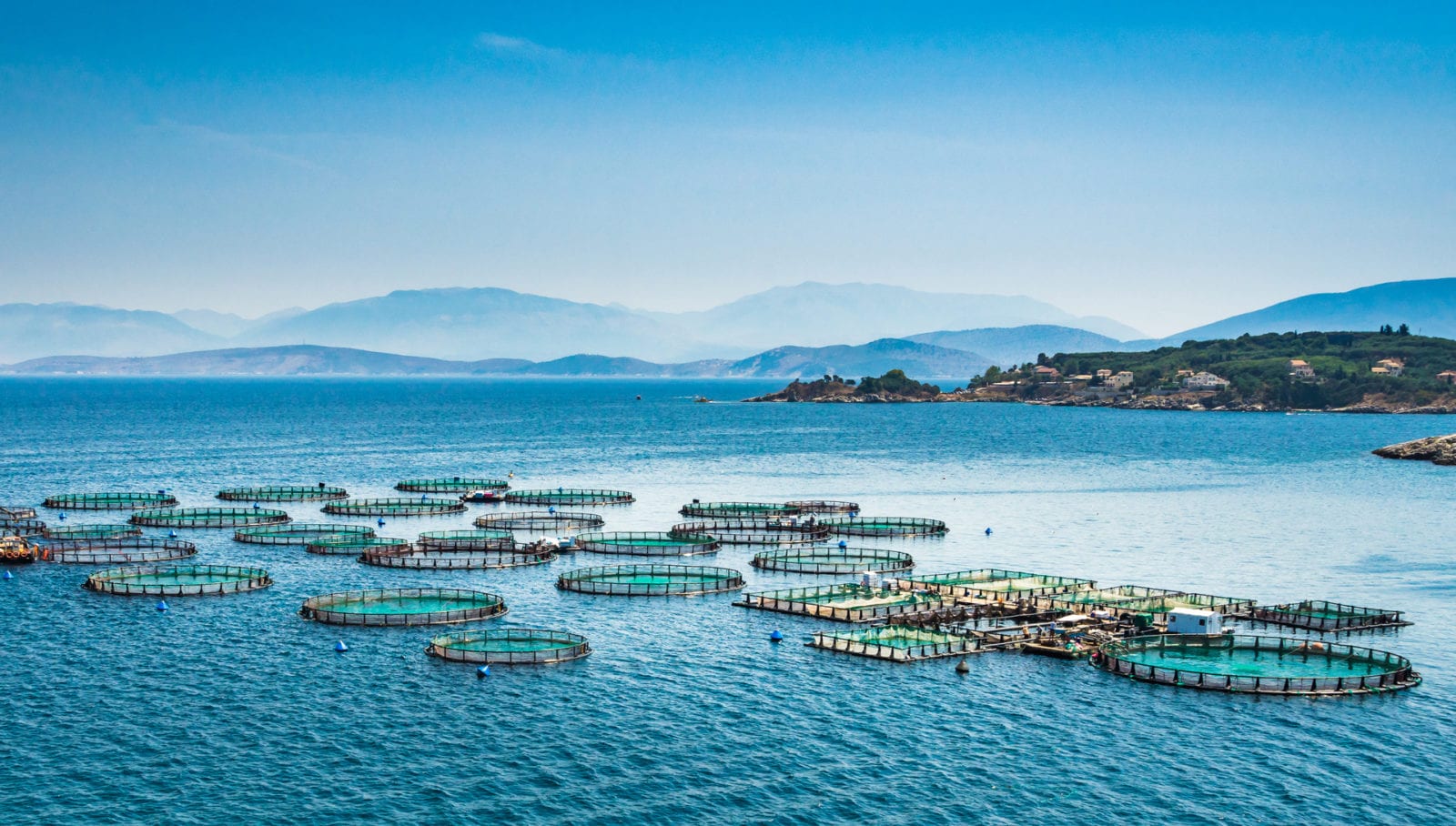 Aquaculture Wallpapers - Wallpaper Cave