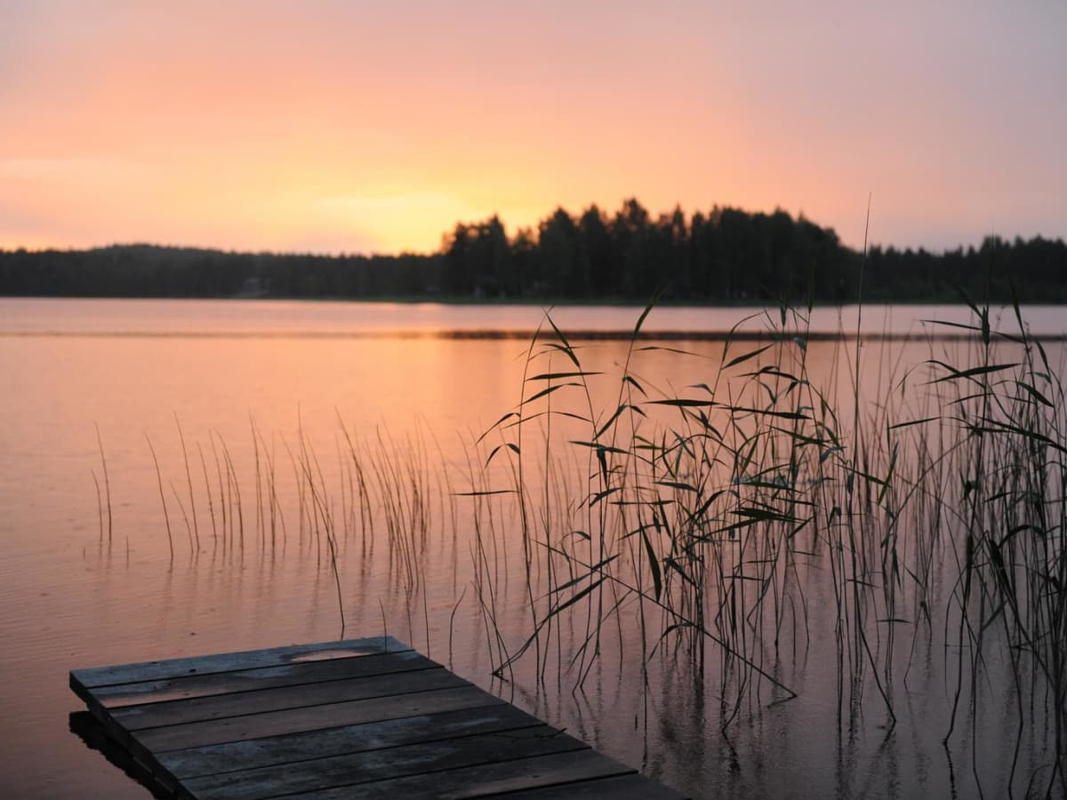 Magical Summer Wallpapers - Wallpaper Cave