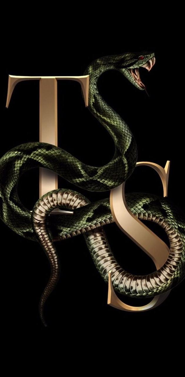 Taylor Swift Logo Wallpapers - Wallpaper Cave