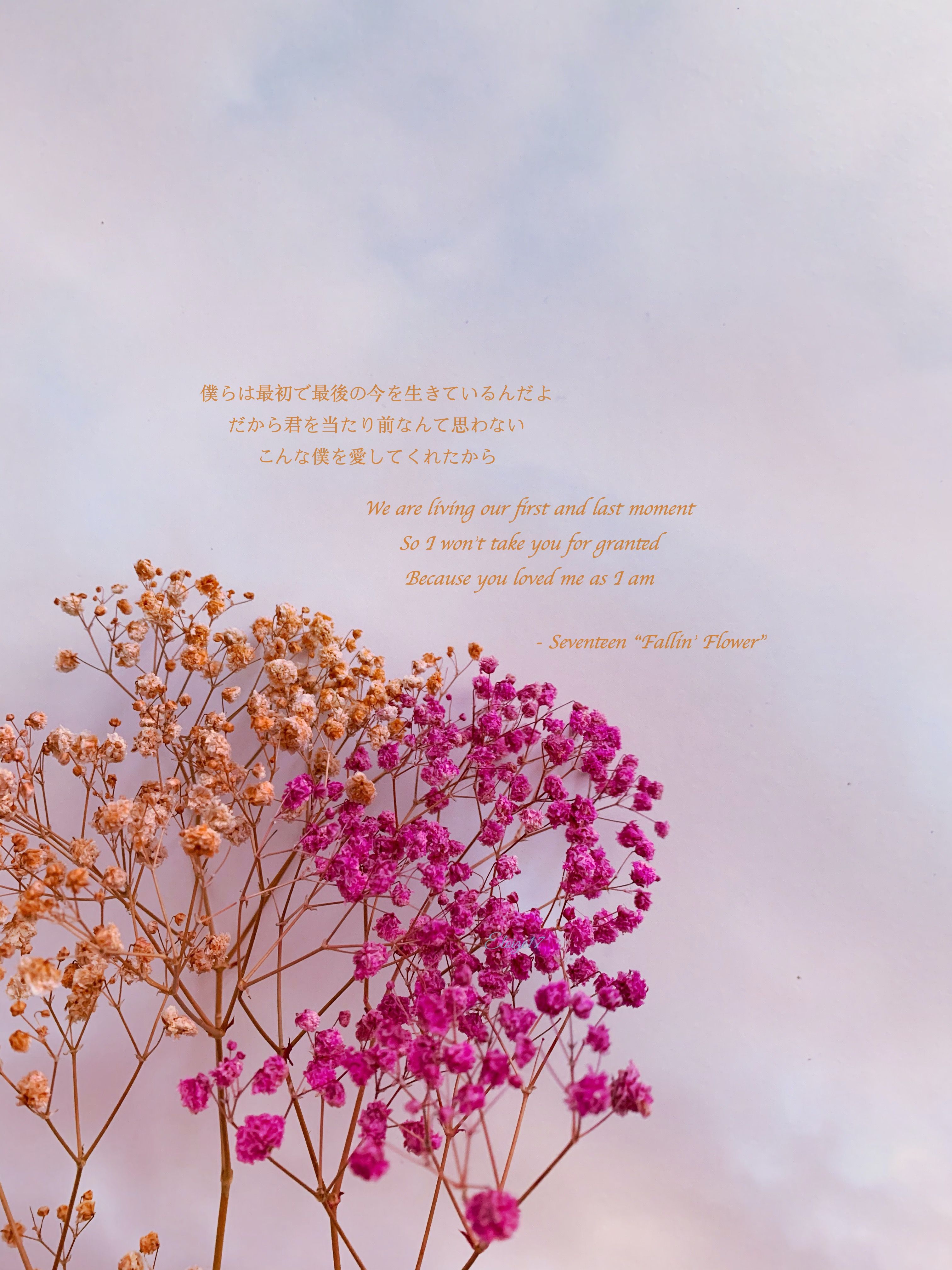 Seventeen Fallin Flower Wallpapers - Wallpaper Cave