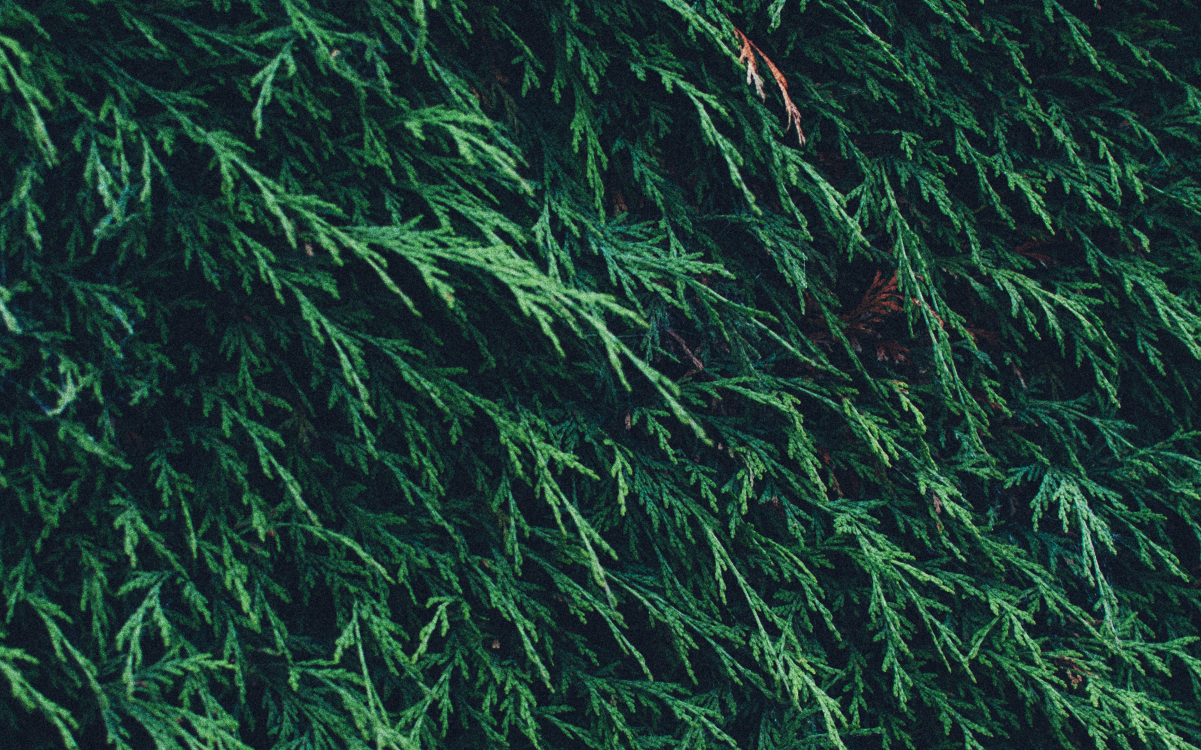 Summer Pattern Desktop Wallpapers - Wallpaper Cave