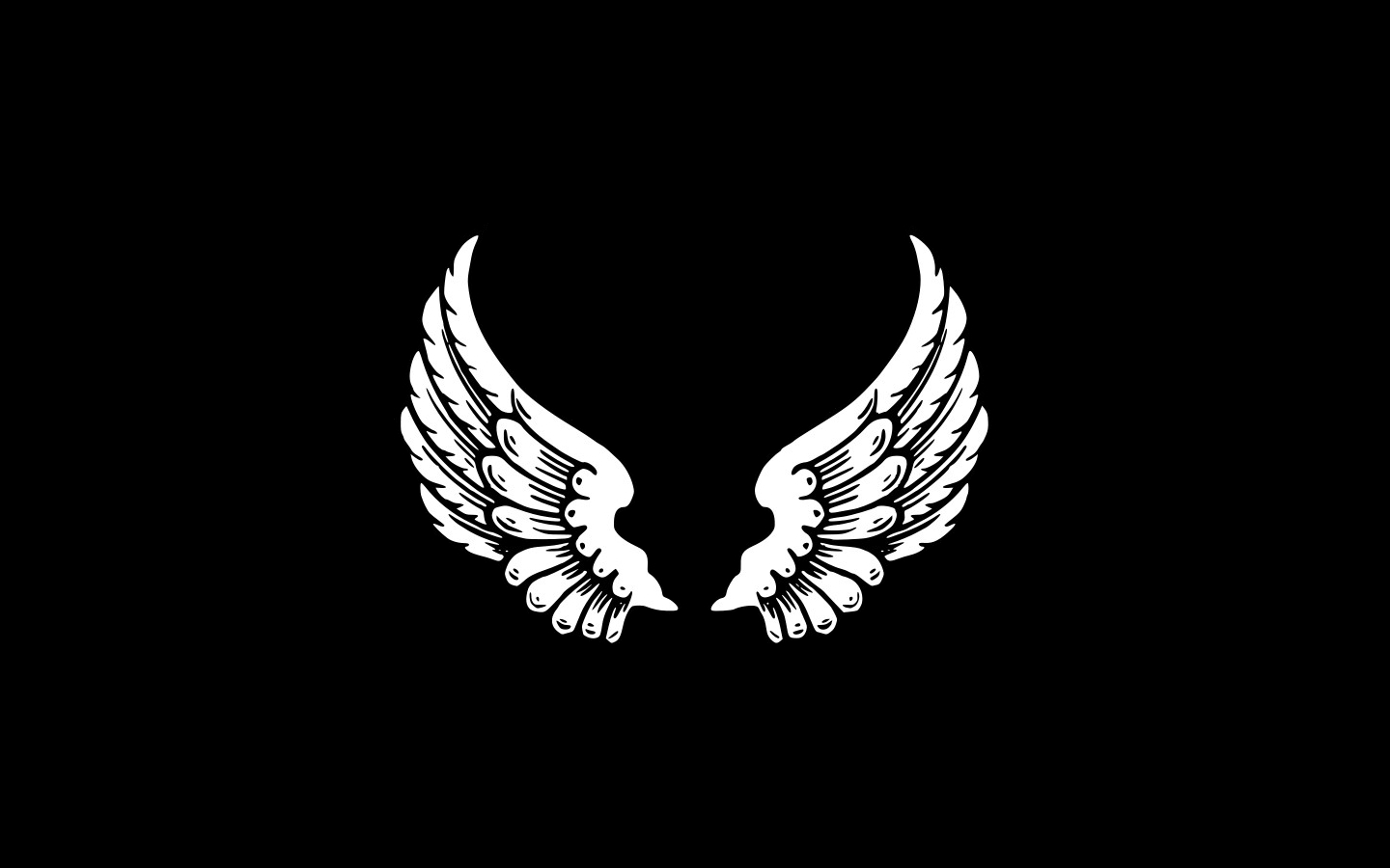 Birds Wings Wallpapers - Wallpaper Cave