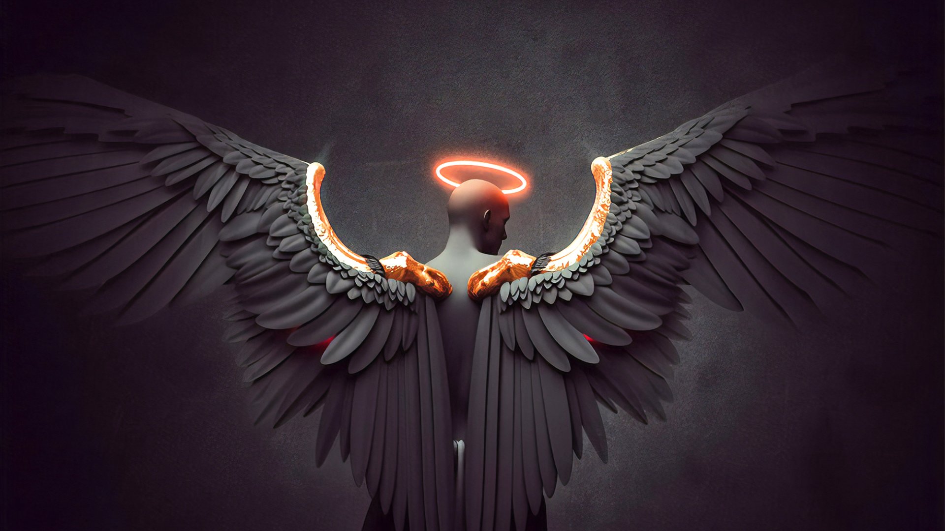 Birds Wings Wallpapers - Wallpaper Cave