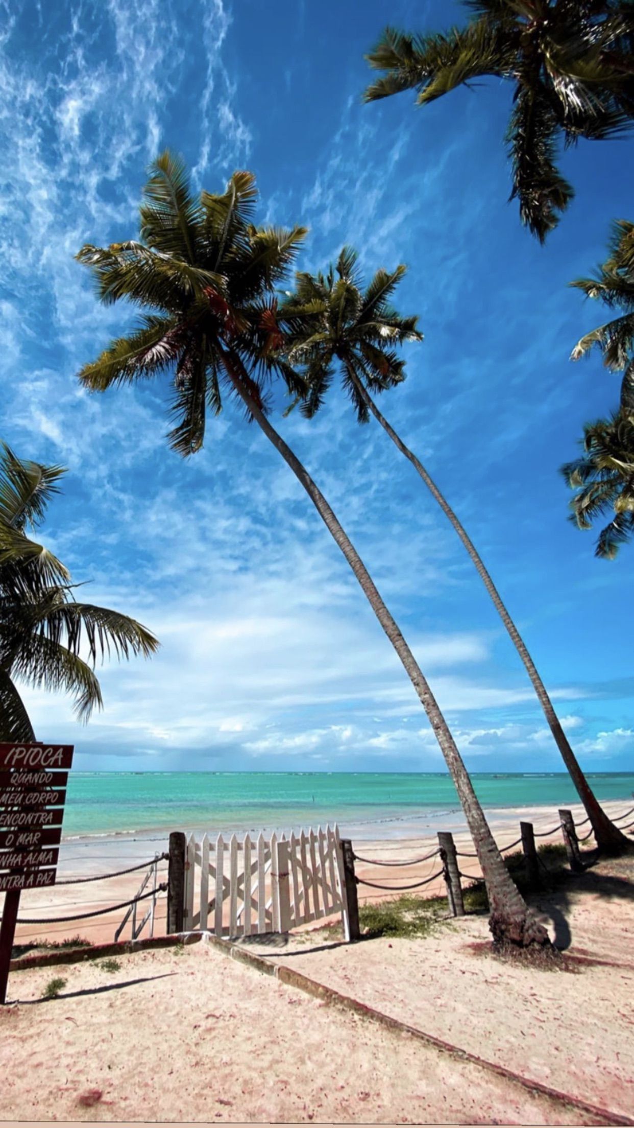 Maceió Wallpapers - Wallpaper Cave