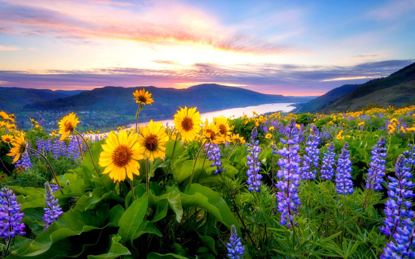 Spring Flower Sunsets Wallpapers - Wallpaper Cave