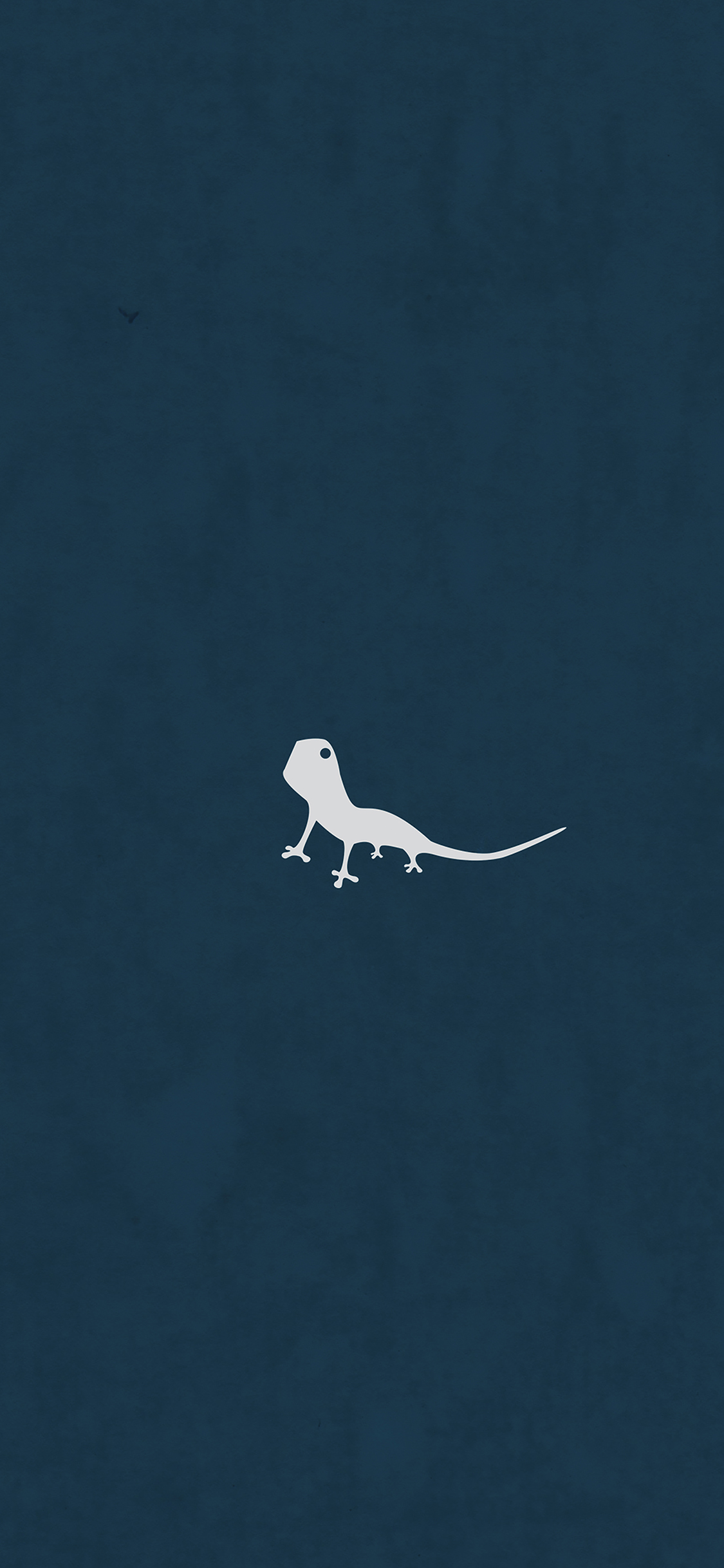 Lizard Phone Wallpapers - Wallpaper Cave