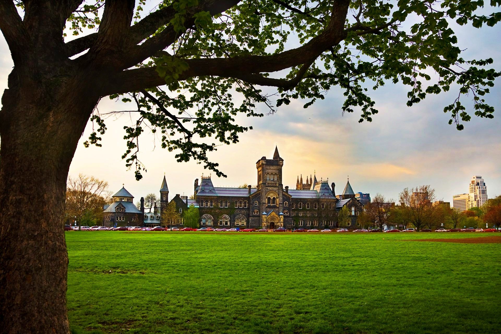 University Of Toronto Wallpapers - Wallpaper Cave