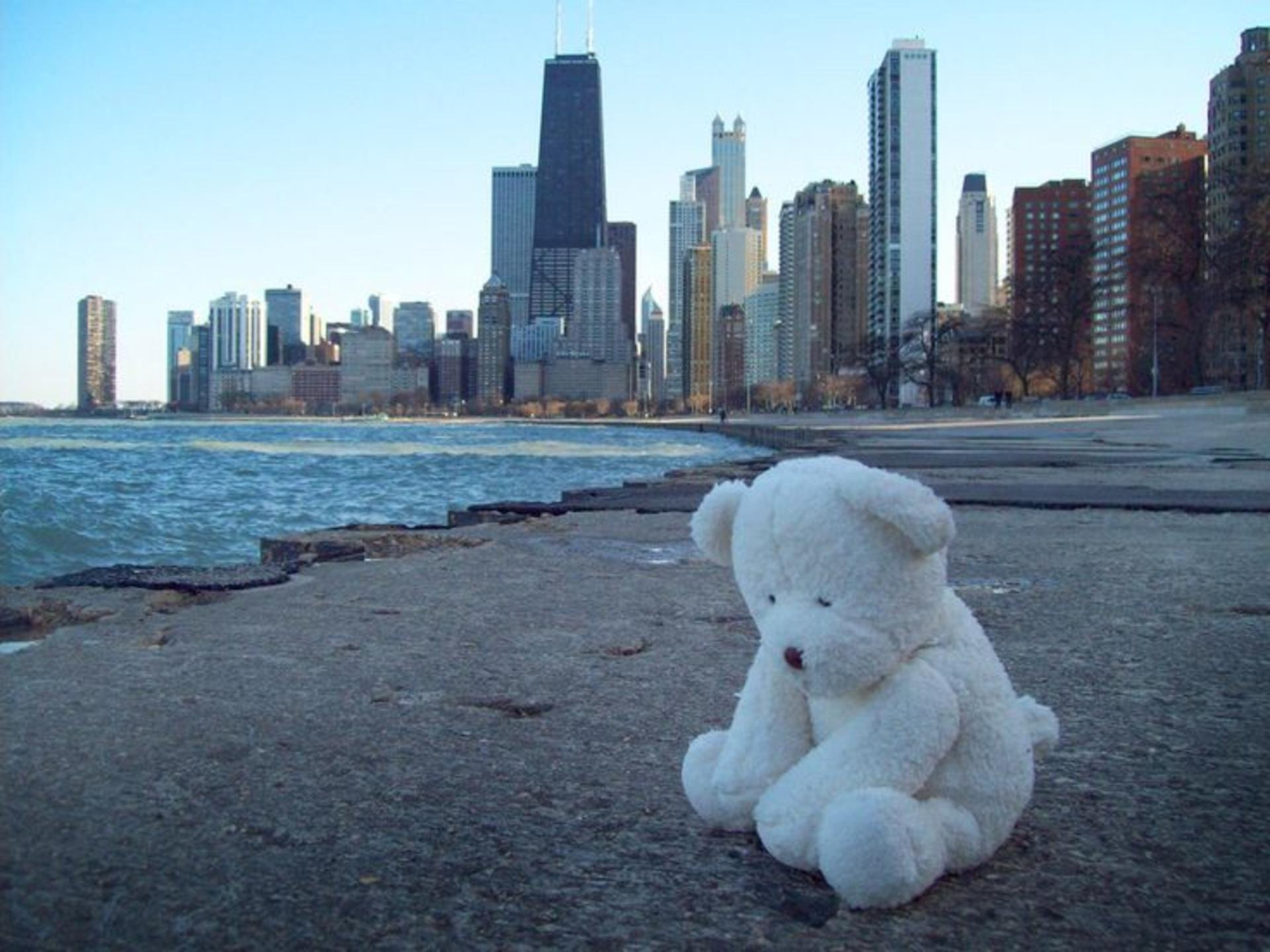 Sad Bear Wallpapers - Wallpaper Cave