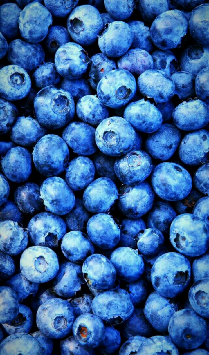 Blue Food Wallpapers - Wallpaper Cave